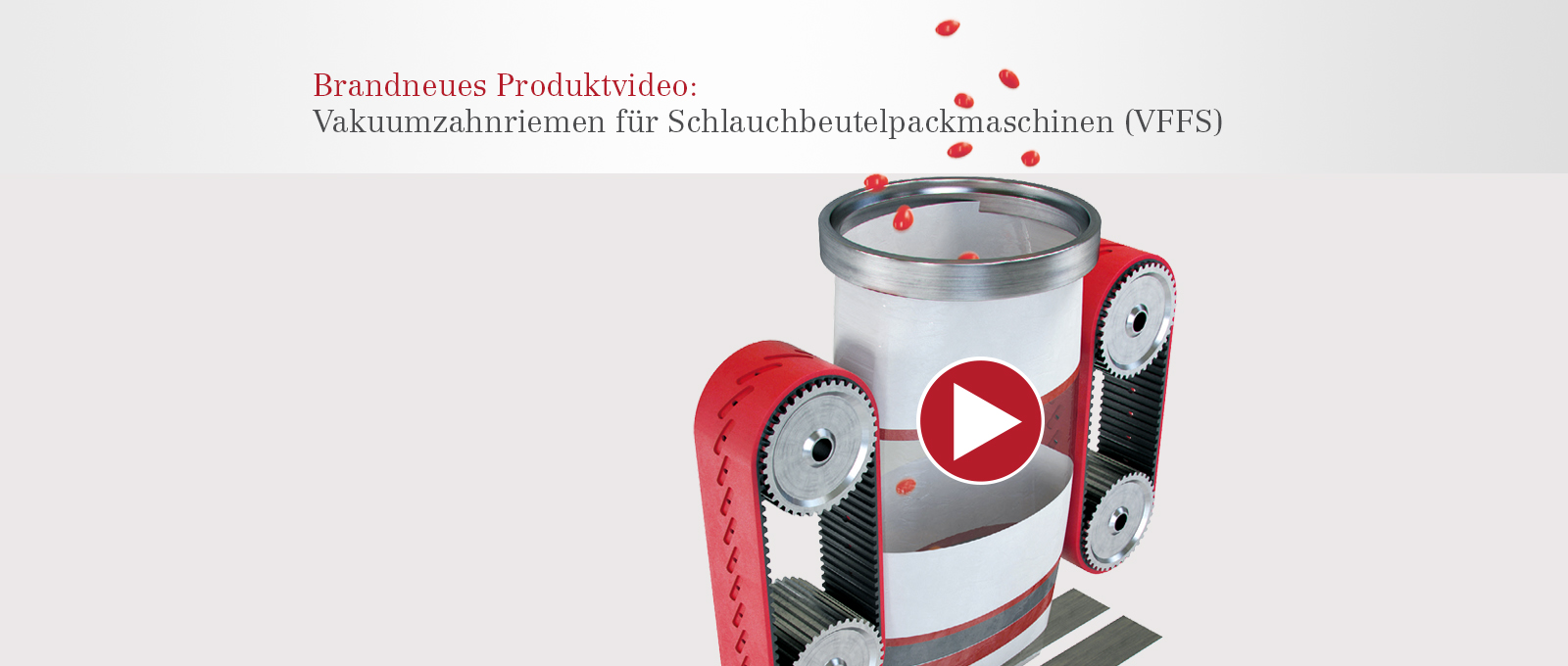 Endlosbänder von Max Schlatterer Esband GmbH & Co. KG